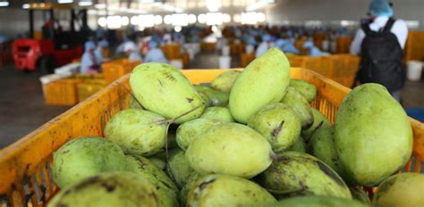 ក្រសួង កសិកម្ម បង្ហាញ អ ស័យ ដ្ឋាន និង លេខទូរស័ព្ទ របស់ រោងចក្រ