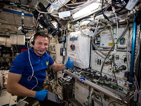Bioprinting In Microgravity Where Do We Stand The