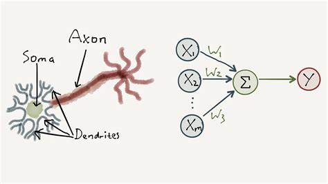 Backpropagation For Dummies All The Math Behind Simplest Than By Diletta Goglia Analytics