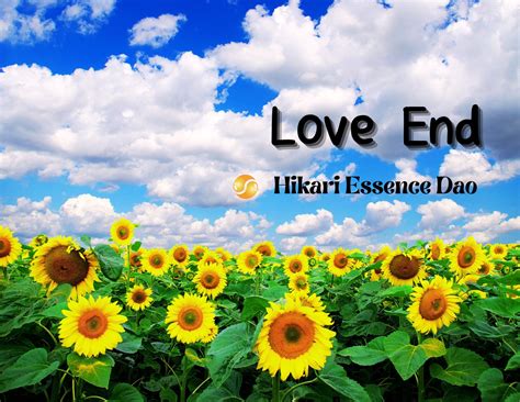 【完全保存版】これをしてると絶対にしあわせにならないです！ Hikari Essence Dao