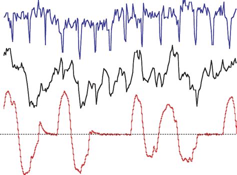 X Ray Kinematics Of The Hindlimb And Inguinal Flank With Simultaneously