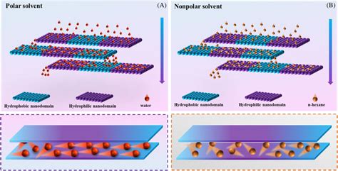 Schematic Diagrams Of A Polar Solvent Molecules And B Nonpolar Download Scientific Diagram