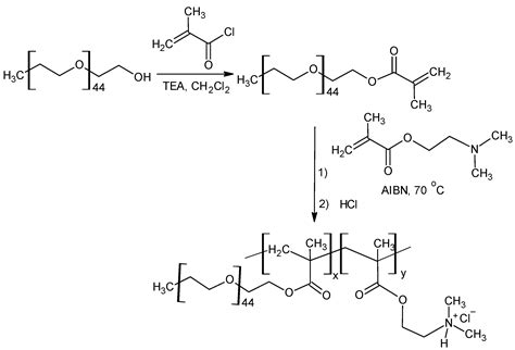 Polymers Free Full Text Promising Gene Delivery Properties Of