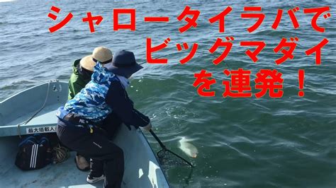 シャロータイラバでデカマダイを連発！ Youtube