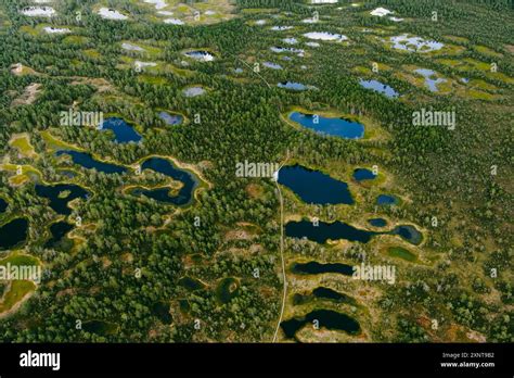 Viru Bog One Of The Most Famous Bogs Located In Lahemaa National Park