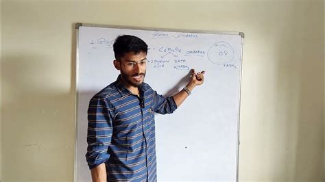 Glycolysis Kreb S Cycle Etc Reaction Life Processes In Living