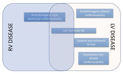 Arrhythmogenic Cardiomyopathies Acs Diagnosis Risk Stratification And Management Heart