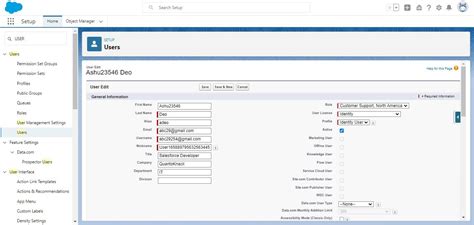 How To Create New Users In Salesforce Quantoknack Training