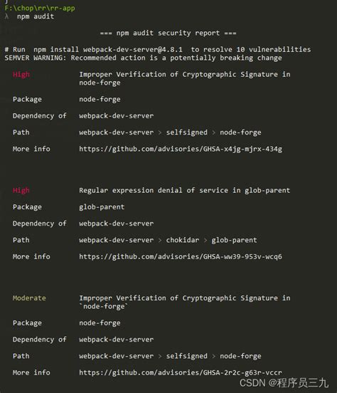漏洞报告和安全事件分析你要知道的 Npm 依赖包漏洞检测和修复小白网安指南哪里可以找到npm库的漏洞 Csdn博客