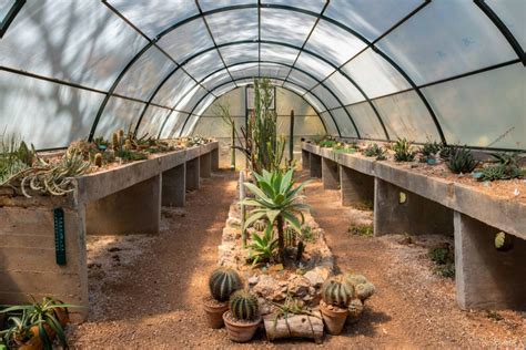 Grvisit Εξερευνώντας τον Διομήδειο Κήπο τον αχανή βοτανικό της Αττικής