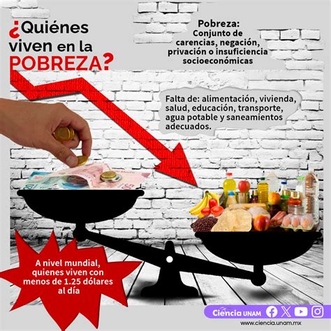 Ciencia Unam Culturaysociedad La Búsqueda De Nuevos