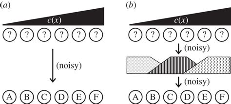 Direct Versus Multi Tiered Decoding Strategies For Gradient Mediated