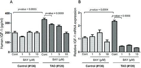 Treatment With Bay 11 7082 An Inhibitor Of The Nf κb Pathway Reduced