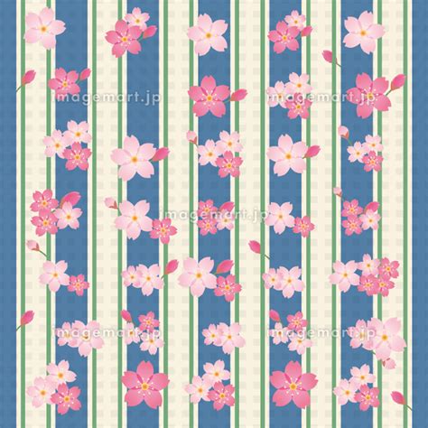 背景素材：春のイメージの背景 子持ち縞模様と桜の花 伝統模様・伝統文様 [182886641] イメージマート
