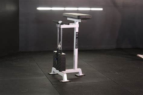 Forearm Curl War Strength