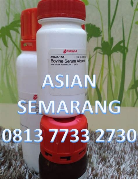 Jual Bovine Serum Albumin Bsa Bovin Serum Albumin Sigma Kota