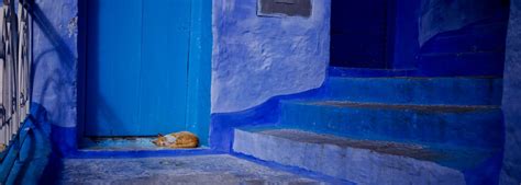 עוגן לחיים מניעת אובדנות בקרב צעירים במשפחה ובקהילה