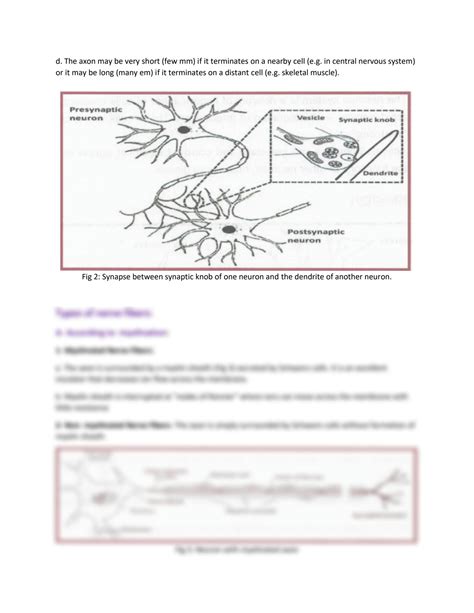 SOLUTION Physiology Of The Nerve The Neuron Studypool
