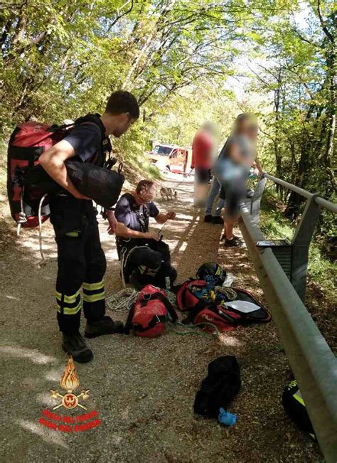 Cagnolino Ferito In Un Dirupo Recuperato Dai Vigili Del Fuoco Gardapost
