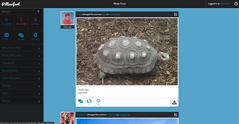 Best Tumblr Alternatives With NSFW Content