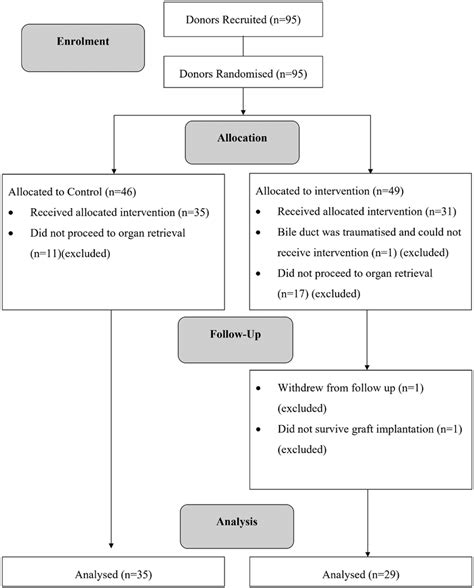 Consort Guidelines Flow Chart Download Scientific Diagram