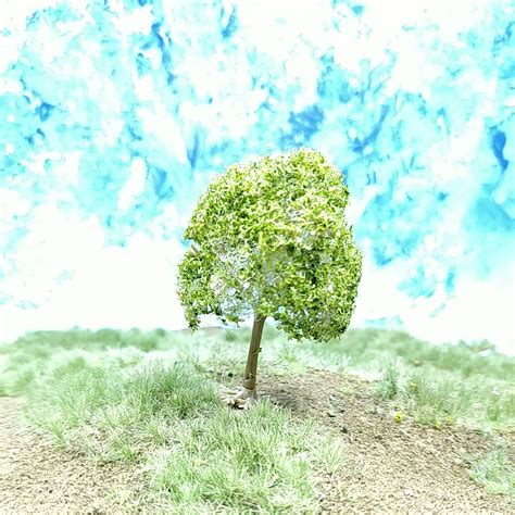 Pl20102 55mm Tall Fruit Tree No Fruit The Model Tree Shop