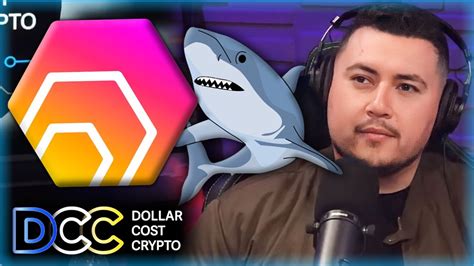 Decoding HEX Squid Dolphin Shark What S Your Rank YouTube