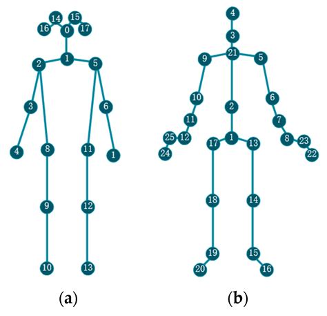 Adaptive Attention Memory Graph Convolutional Networks For Skeleton Based Action Recognition