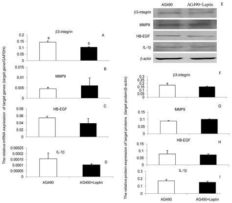 Ijerph Free Full Text Leptin Upregulates The Expression Of β3