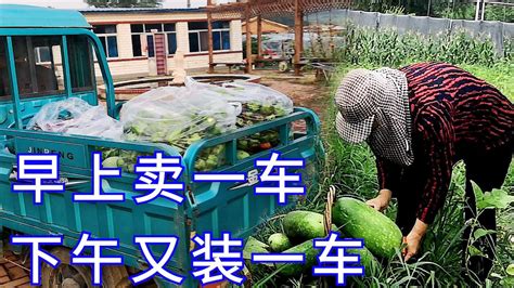 【胖嫂show】早上卖一车菜，胖嫂赚400多，下午又装一车，赚这么多难怪干劲十足 Youtube