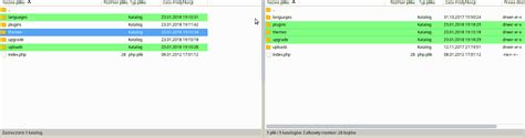 Filezilla Kompleksowy Przewodnik Po Najlepszym Kliencie Ftp Specjalista Seo Wojciech Pietrzak