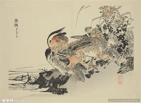 百鸟图摄影图美术绘画文化艺术摄影图库昵图网