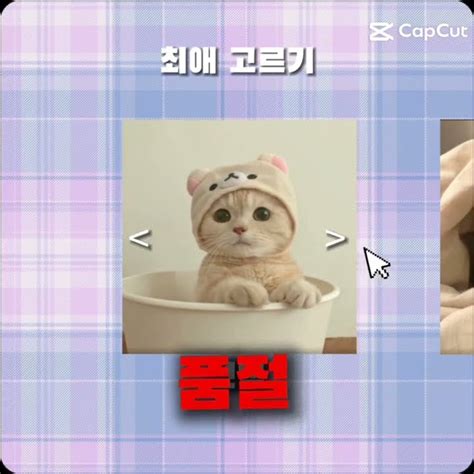 최애 고르기 ️ Youtube