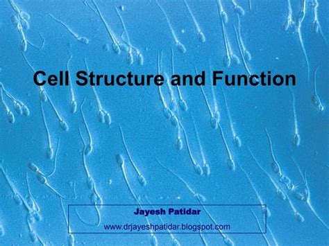 Parts Of Cell And Their Functions Pptx