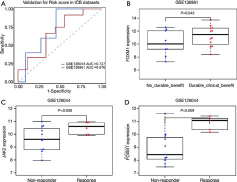 Validation The Robustness Of Jak2 And Foxm1 Gene Expression As