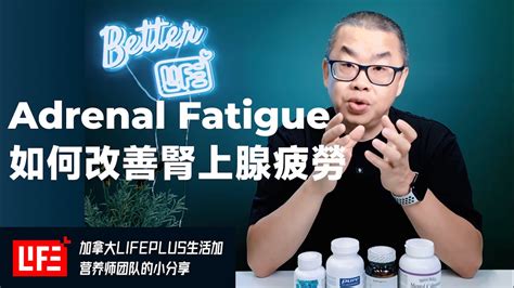 什麼是腎上腺疲勞？疲勞、精力差如何通過營養素進行改善 Youtube