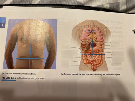 Fig 1 15 Diagram Quizlet