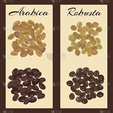 咖啡豆的种类。