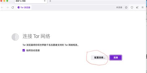 Tor洋葱浏览器的配置 Jolunblog