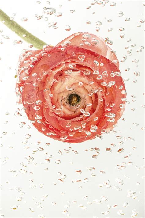 Pink Tumblr Background Images Free Photos PNG Stickers Wallpapers Backgrounds Rawpixel