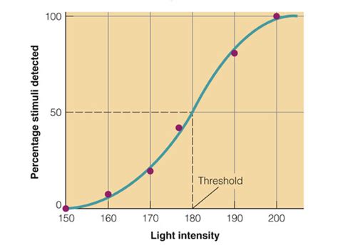 Sensation And Perception Lecture 1 Flashcards Quizlet