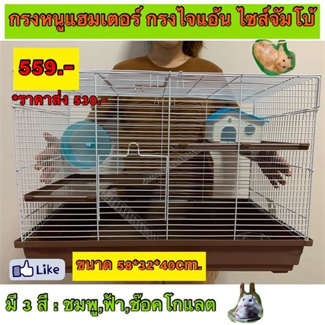 ขนาด554023ซม กรงขนาดใหญ่สำหรับแฮมเตอร์ทุกสายพันธุ์ ดัมโบ้แรท เม่นแคระ