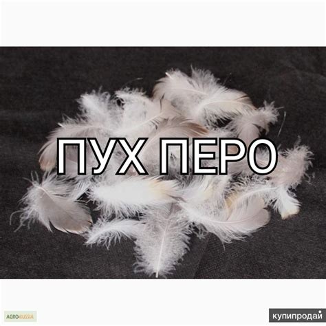 Куплю пух перо в Омске