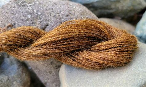 Context The Sea Silk Project