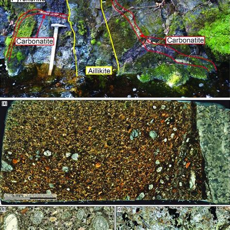A Al2o3 Vs Feo And B Al2o3 Vs Tio2 Co Variation Plots For Mica The Download Scientific