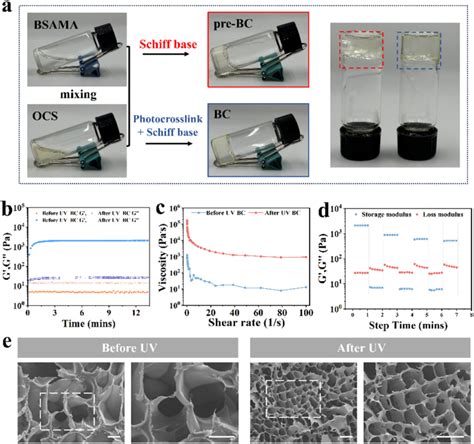 enhanced hydrogel loading of quercetin loaded hollow mesoporous cerium