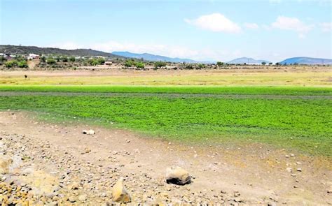 Hidalgo Hidalgo Ocupa Séptimo Lugar En Escasez De Agua El Sol De