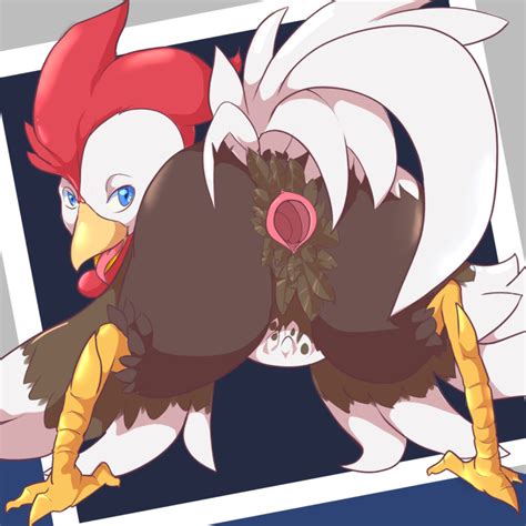 Rule 34 Ambiguous Gender Animal Genitalia Ass Avian Bent Over Bird