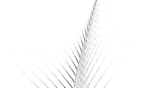 Barnsley Fern Ii Charles Lovering Observable