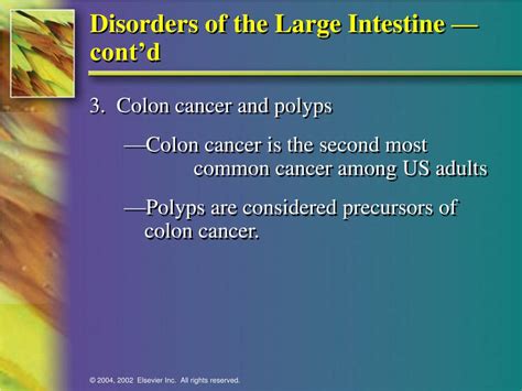 Ppt Medical Nutrition Therapy For Lower Gastrointestinal Tract